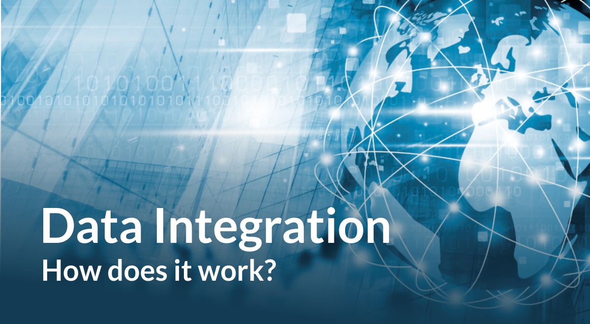 Role of Data Integration Consultants to Guarantee Project Success