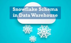 Explaining Star and Snowflake Schemas in Data Warehouse with Examples